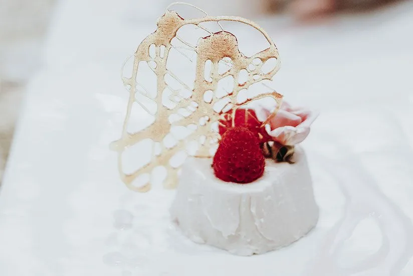 Ocean Spray® Recipes: Pink Cranberry Panna Cotta with Reduction Sauce