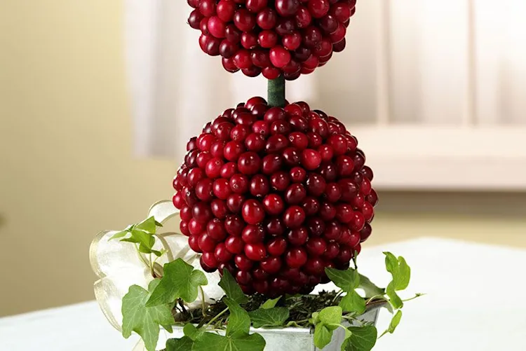 DIY Cranberry Topiary Guide - Fresh Fruit Decor Ideas | Ocean Spray®