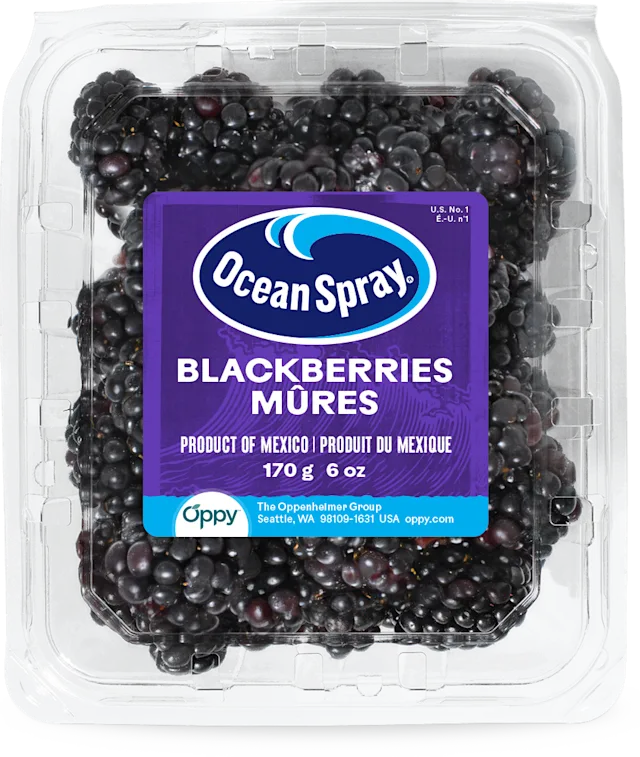 Fresh Blackberries
