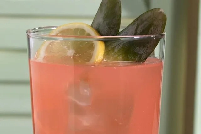 Ruby Lemonade Recipe: Easy, Refreshing Cranberry Lemonade | Ocean Spray®