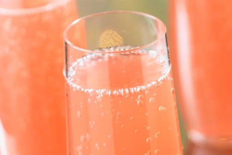 Ruby Red Citrus Sparkler Cocktail or Mocktail Recipe | Ocean Spray®